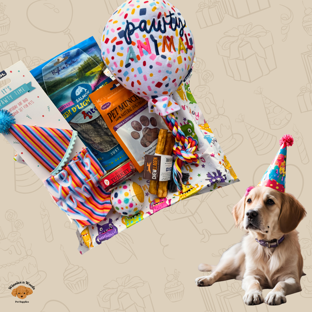 Birthday dog box store